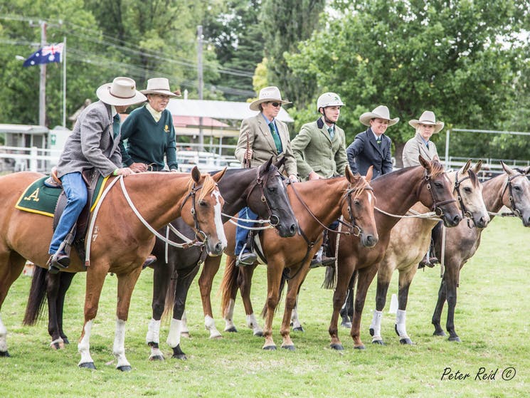 Tenterfield Show visit now | TravelOmama